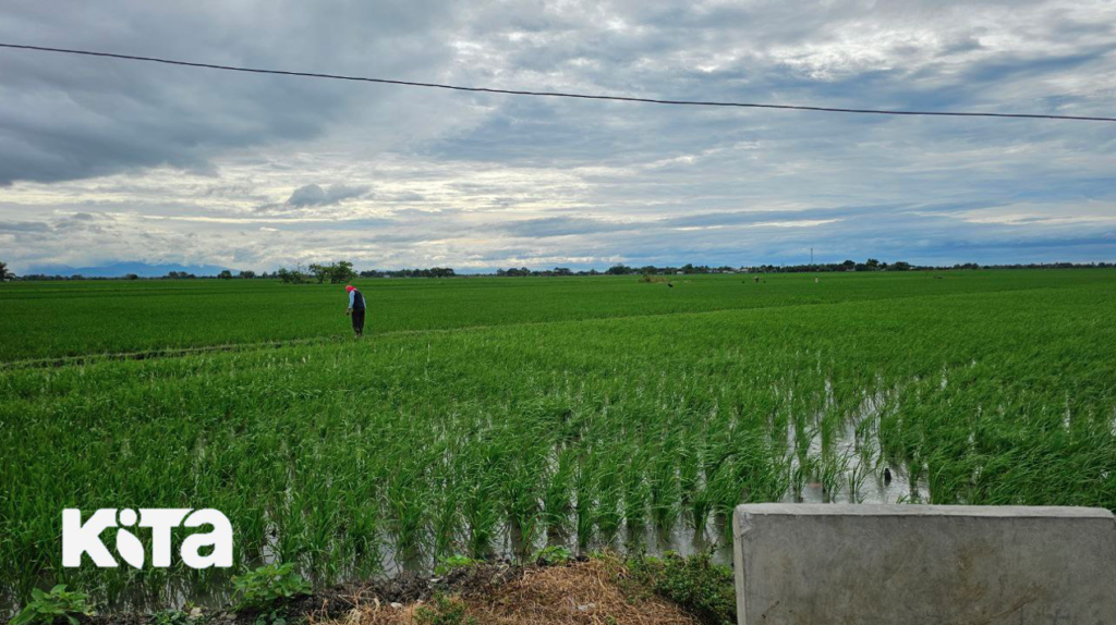 Kita Agritech - AgFunder